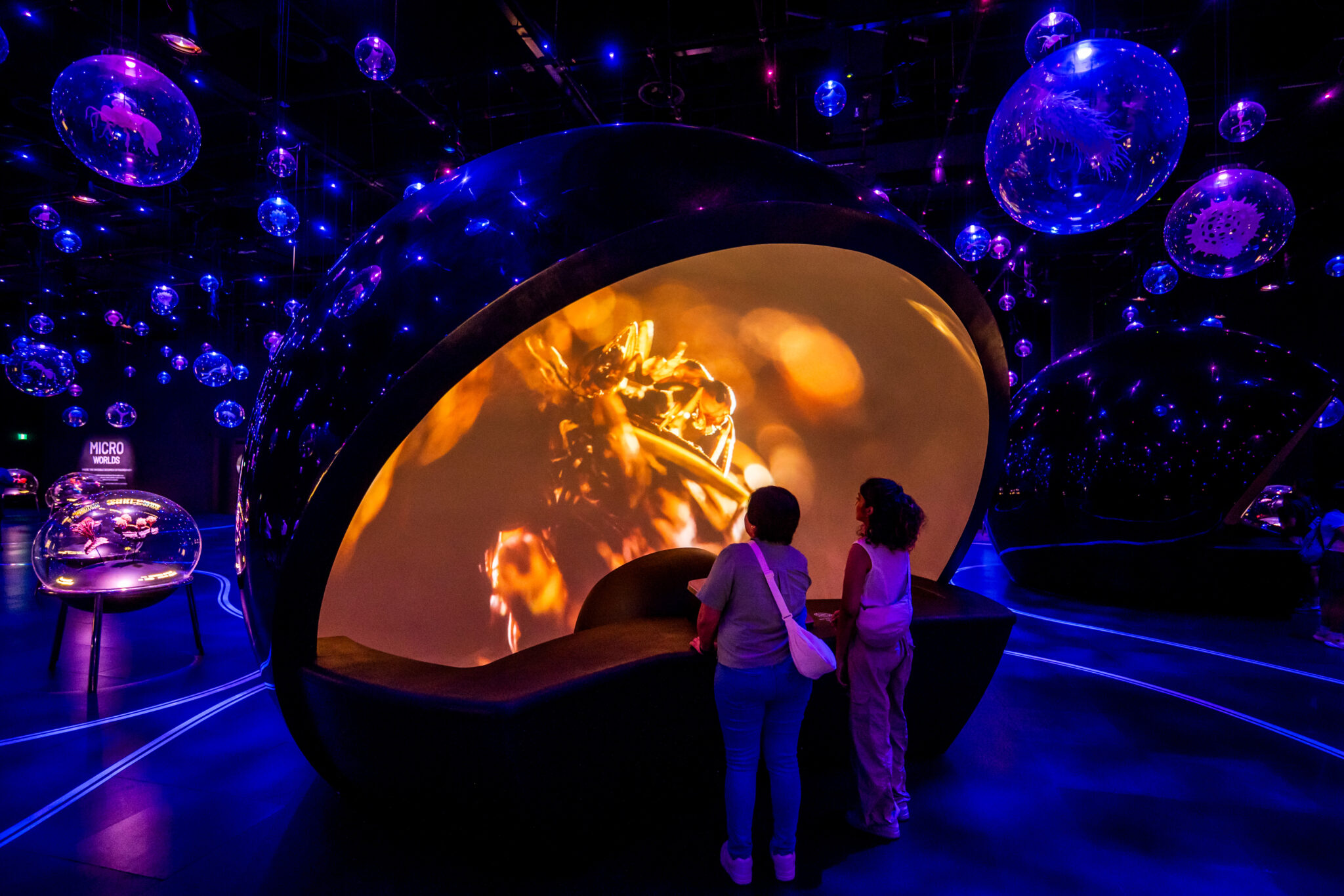 Exploria: A New Immersive Indoor Experience at Mandai Wildlife Reserve ...