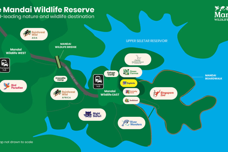 Exploria: A New Immersive Indoor Experience at Mandai Wildlife Reserve ...